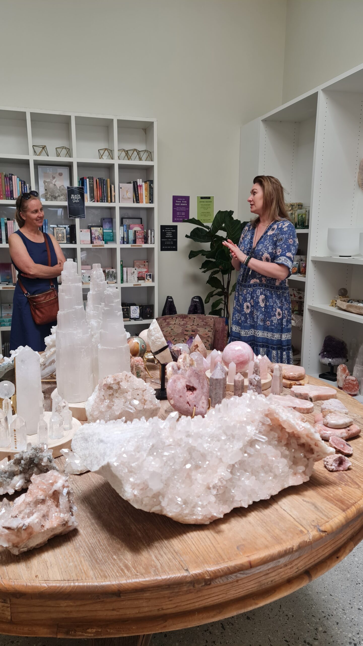 Moonee Ponds Trails | Moonee Ponds 3039